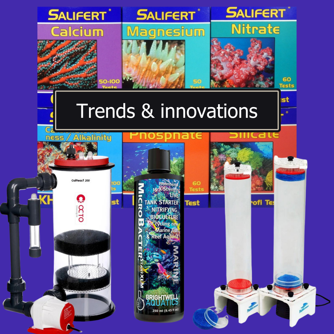 The Evolution of Reef-Keeping: Trends and Innovations in the Hobby