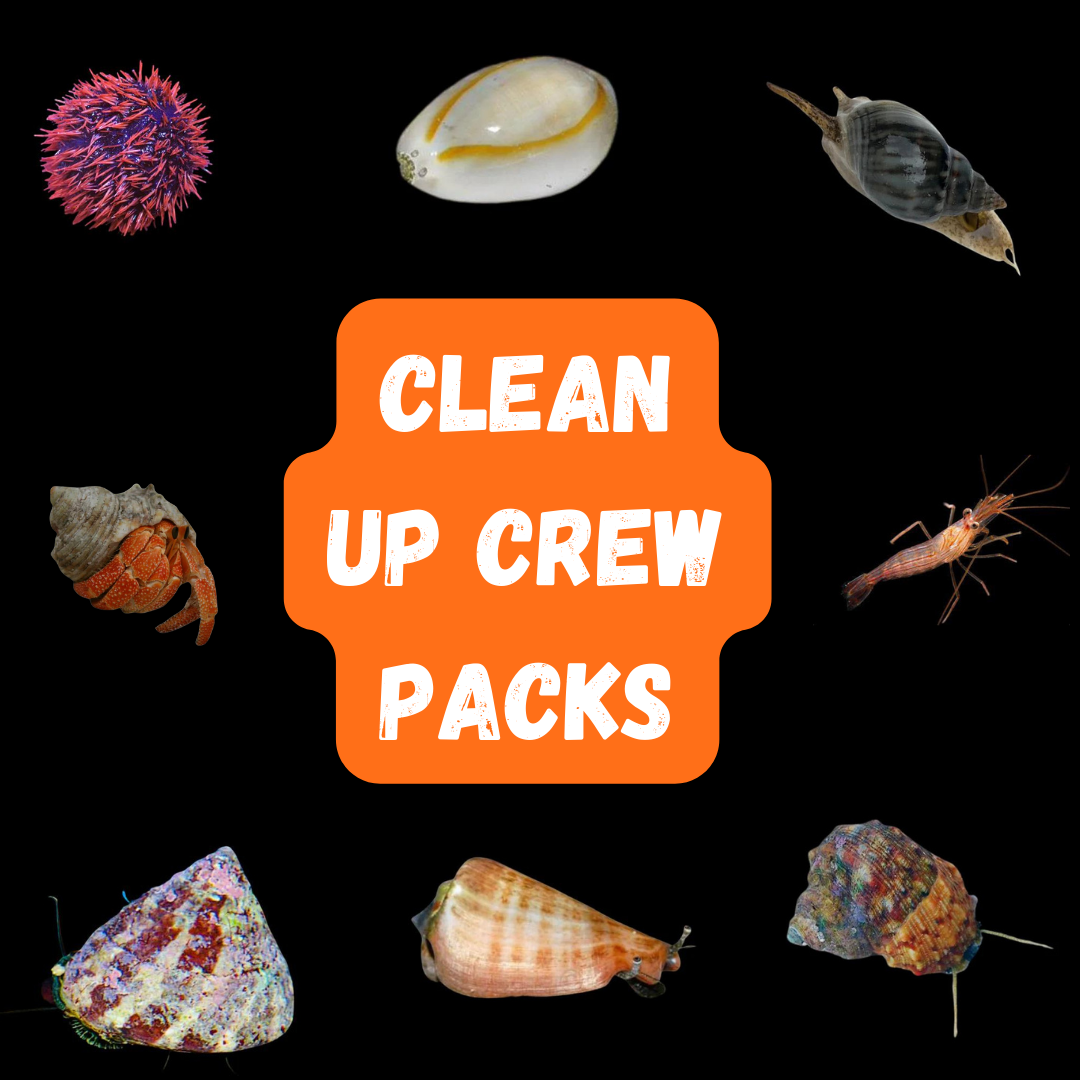 Cleanup Crew Bulk Packs