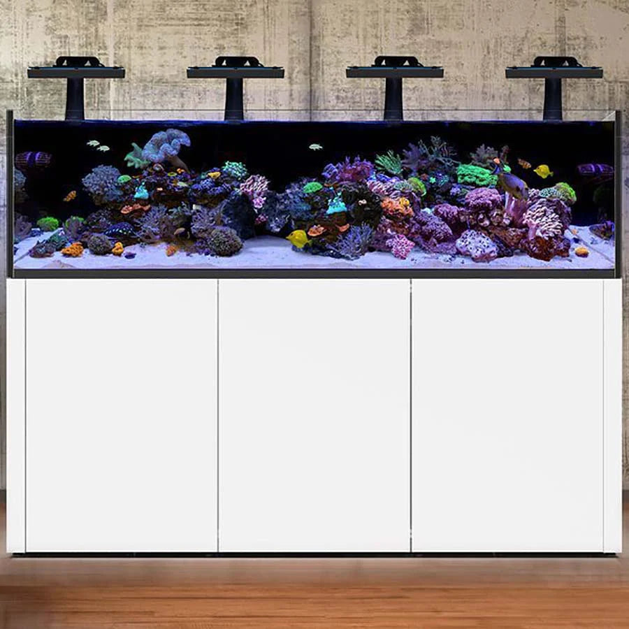 Waterbox Aquariums