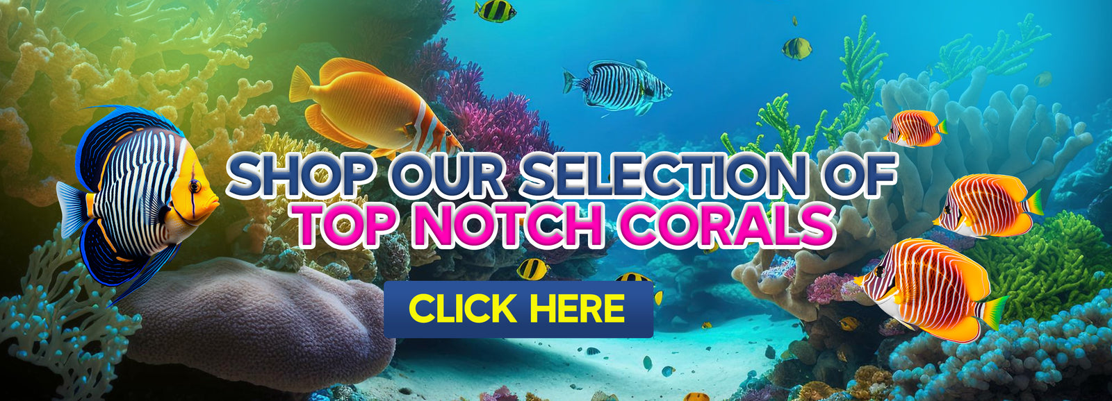 High-Quality Coral, Fish & Aquarium Supplies | TheCoralShop