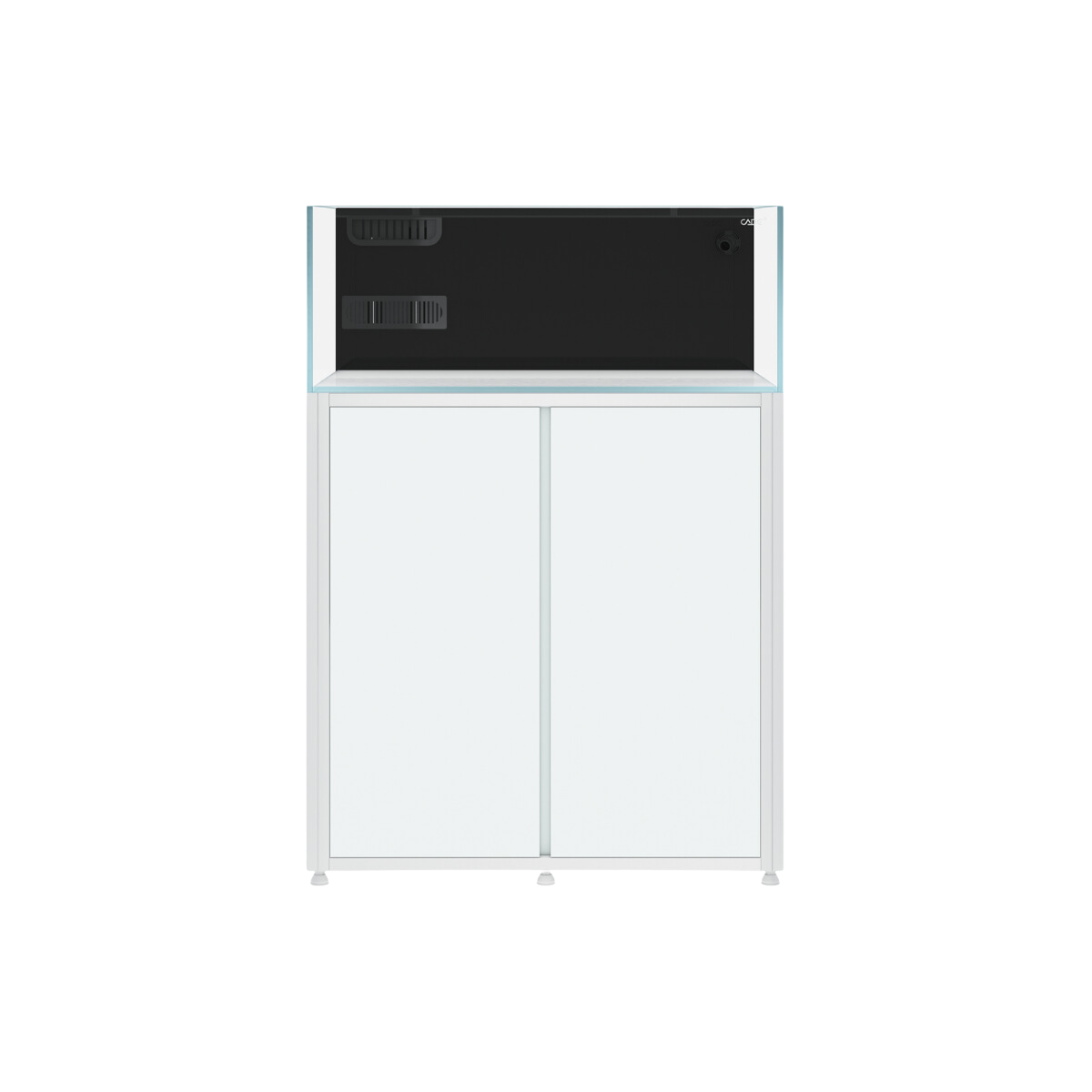 High-Quality Coral, Fish, & Aquarium Supplies | The Coral Shop