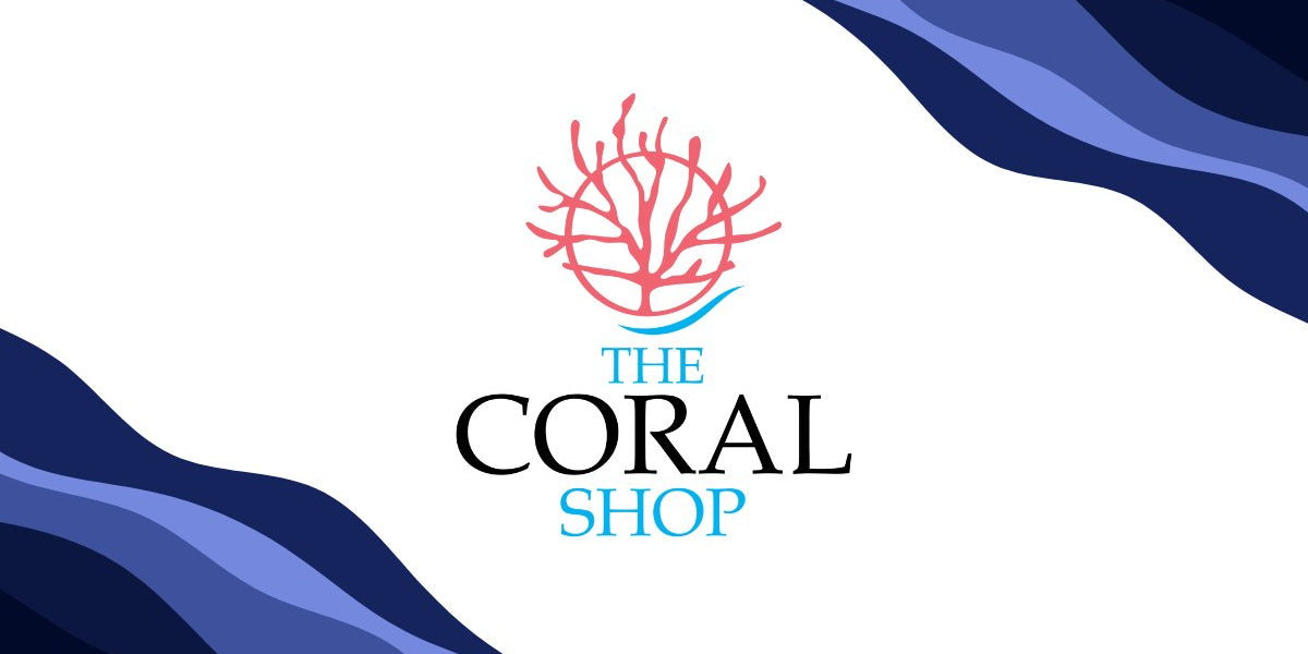 How Coral Movement Reveals Your Flow Problems (And How to Fix Them