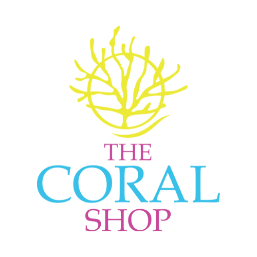 Top 5 Easy Corals for Beginner Reef Tanks: Best Corals for New Reefers