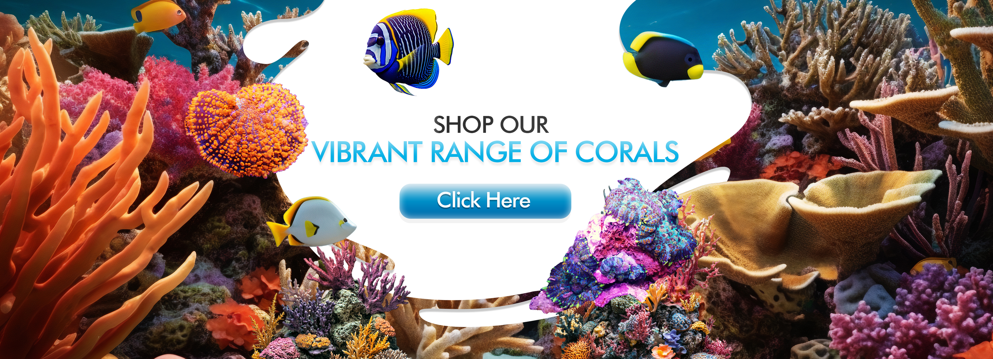 High-Quality Coral, Fish & Aquarium Supplies | TheCoralShop